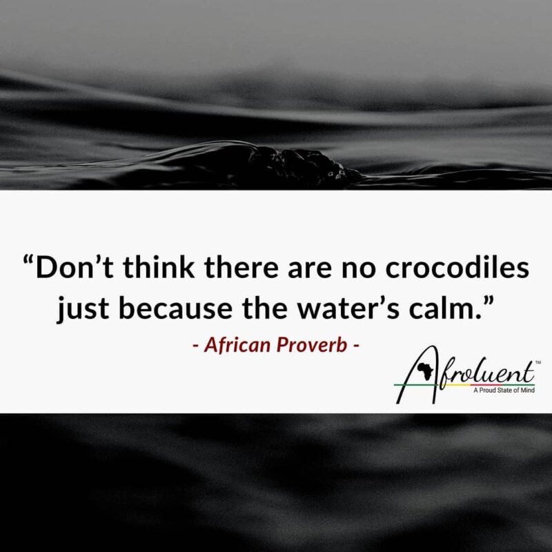 African Proverb - Don’t think there are no crocodiles just because ...