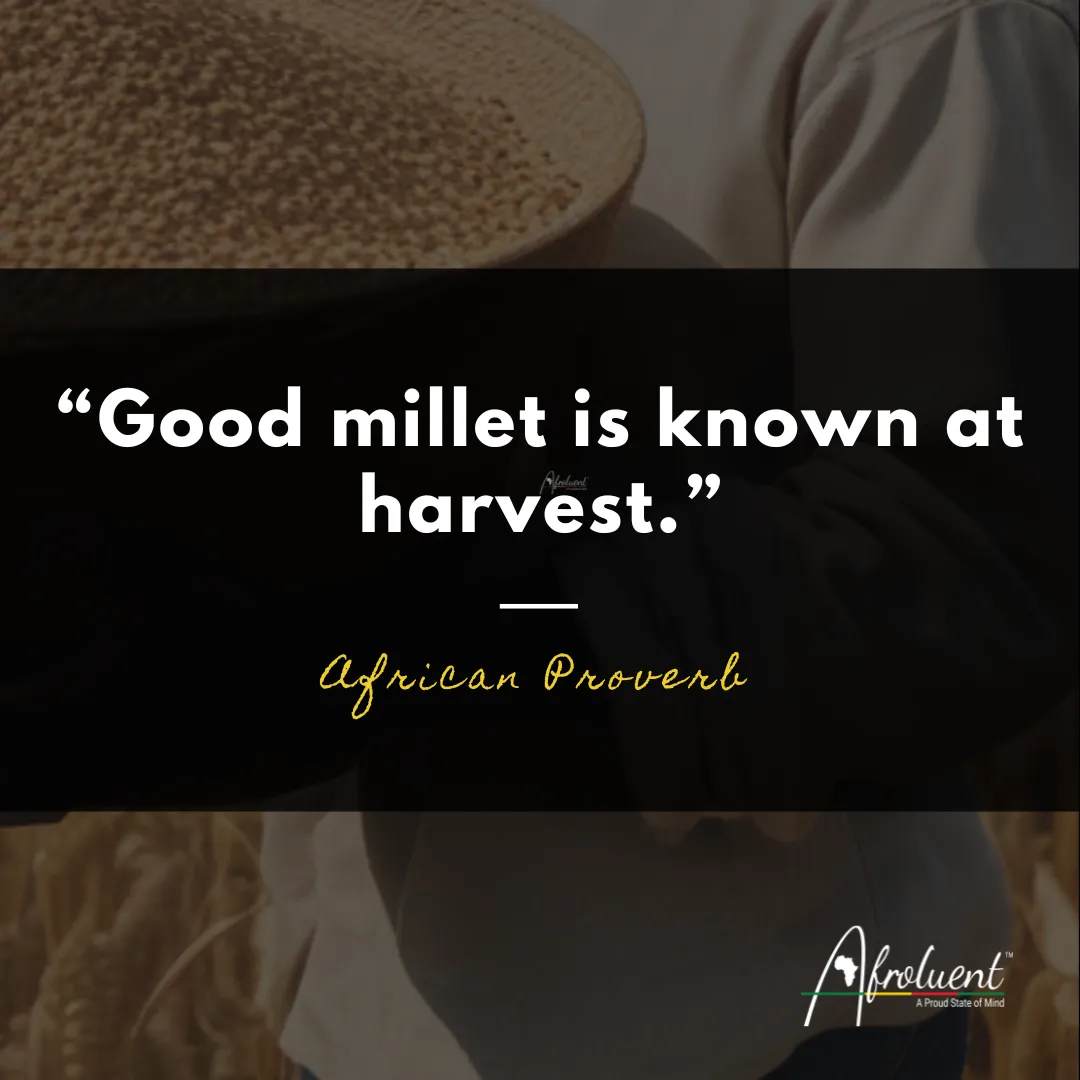 Good millet is known at harvest